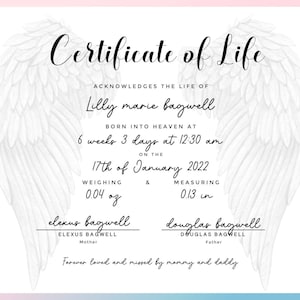 Rainbow Baby Angel Baby Baby After Loss Miracle Baby After - Etsy UK