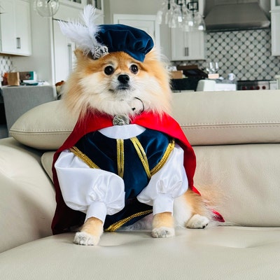 Dog Cleopatra Halloween Costume, Cleopatra Dog Costume, Puppy Cleopatra ...