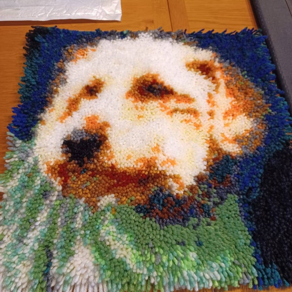 Latch Hook Kits Make Your Own Cushion Cartoon Lattice Pre-printed ...