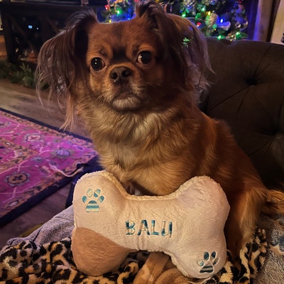 Dog Feeding Reminder Whiteboard Has the Dog Been Fed Pet - Etsy