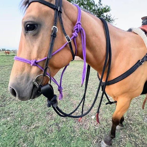 Rope Halter & Mecates - Natural Horsemanship Hackamore - 21 Colors - 2 ...