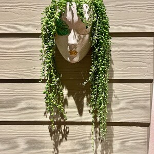 Face Wall Planter Succulent Pot Indoor Planter Wall Hanging Head Pot ...