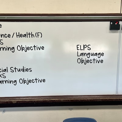 Customizable Clasroom Line up Spots, Learning Colors, Mouse Head Spots ...