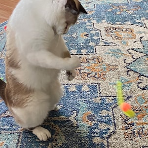 Super Bouncy Wiggly Ball Cat Toy With Wiggly Tail, Fun Cat Toy Ball ...