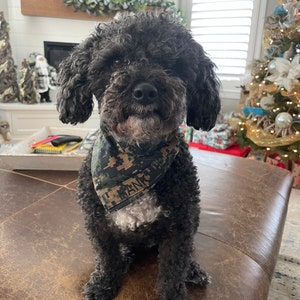 AKC Scent Work NOVICE Title Progression Tracking Sheet Digital Download ...