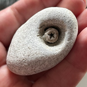 Set of Small Pebbles People - PRICE PER SET - Diy Pebbles for Crafts ...