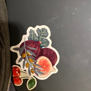 Camel Sticker Arab Egypt Middle East - Etsy