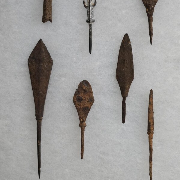 Spider Scorpion Collection All A-1 Different Species Full Data 8X12 ...