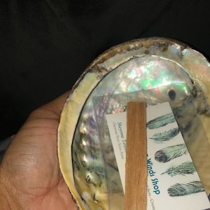 Abalone Shell Perfect for Smudge Sticks Alter Tool High Quality One ...