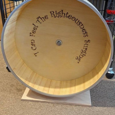 16 New Wheel Conception by Rodents Home. Aluminium Hoop Installed ...