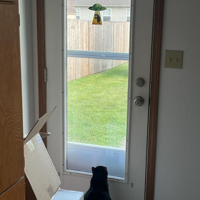 Cat Bat Back Side Acrylic Window Hanging, Gothic Cat Lovers Gift, Funny ...