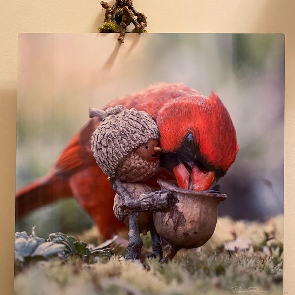 Handmade Acorn People Figurine, Nature Photography Prop - Etsy