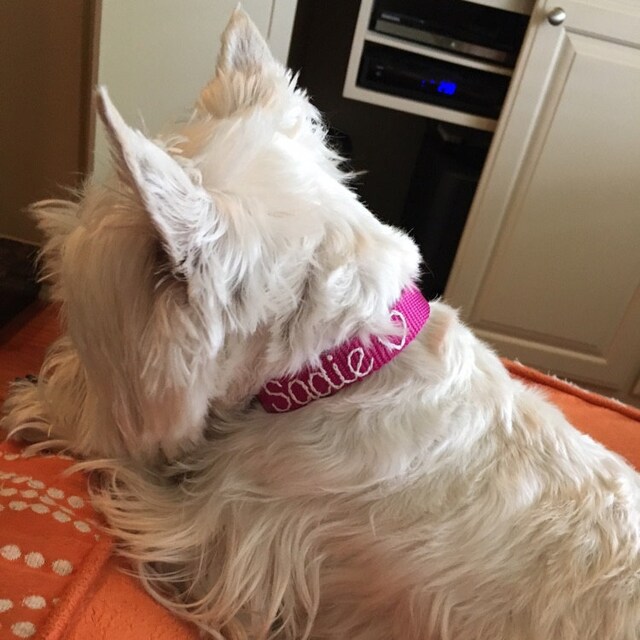 Corie loved their purchase from shopmimigreen