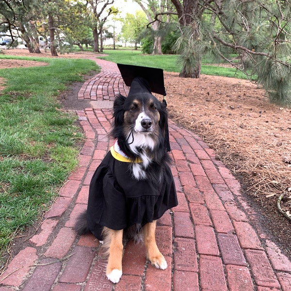 Professor Paws, FD-2108.PupPak-4 Szs: 4XS, 3XS, 2XS, XS, PDF Pet Grad ...