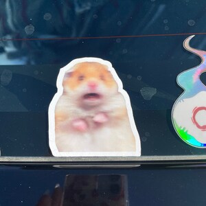 Surprised Shock Hamster Meme Funny Car Bumper Sticker Interior | Etsy