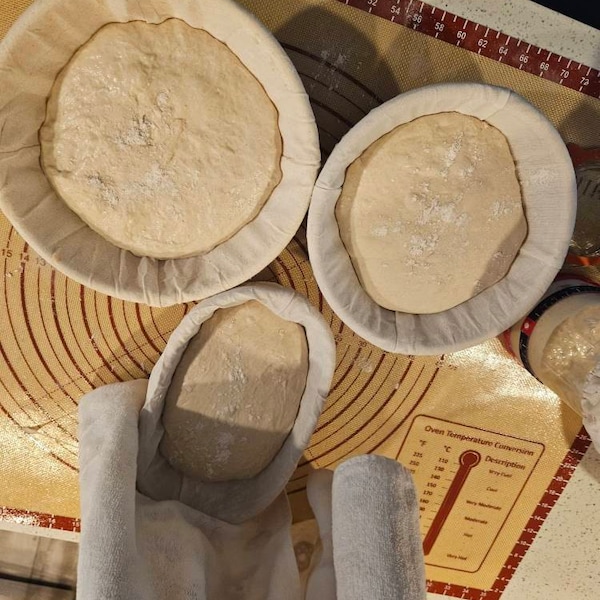 Beginners Basic Sourdough Starter Kit With Weck Tulip Jar, San ...