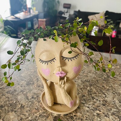 Yellow Variegated Liriope Plant Variegated Monkey Grass - Etsy Canada