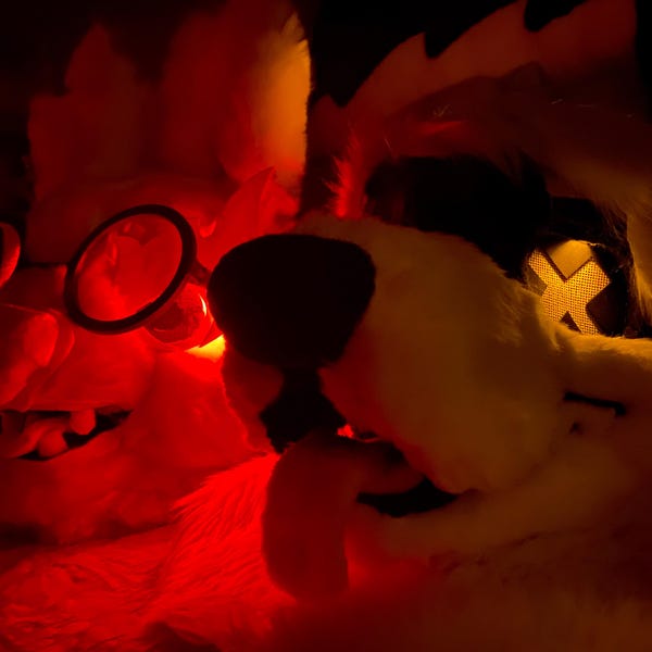 20 LED Cosplay String Fairy Lights 7ft Portable Battery Costume ...