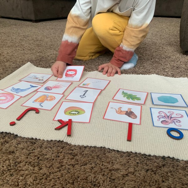 Beginning Letter Sounds Picture Sorting Card Set, Red Consonants Blue ...