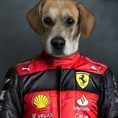 Red Ball Formula Racing Car F1 Driver Team Pet Portrait - Etsy