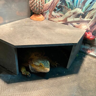 Slate Cave Bottomless Hide 10x10x4 for Fish, Snake, Reptile, Turtle ...