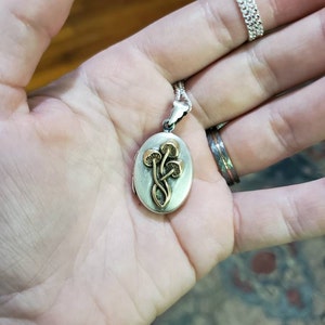 Sterling Silver Locket Necklace, Raven Locket for Women, Working ...