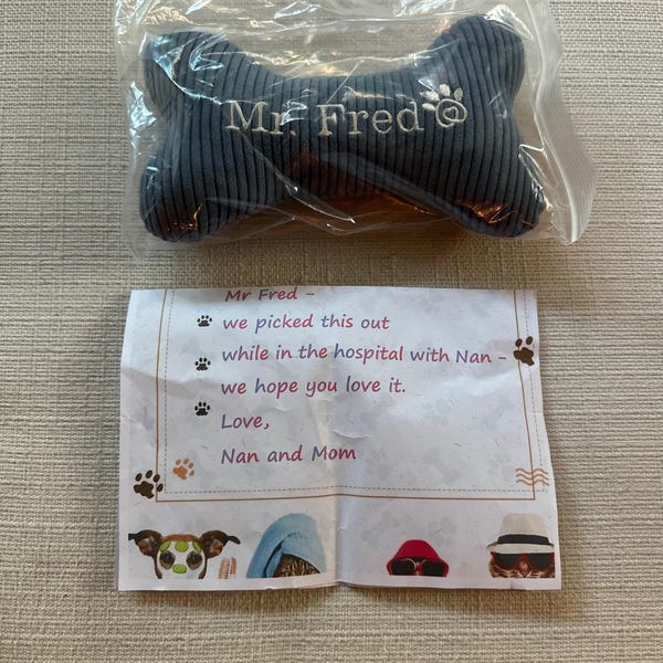 Personalized Dog Plaid Toy With Name Embroidered Dog Toy With Squeaky ...