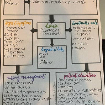 Patho and Medsurg Mind Map Guide B&W - Etsy