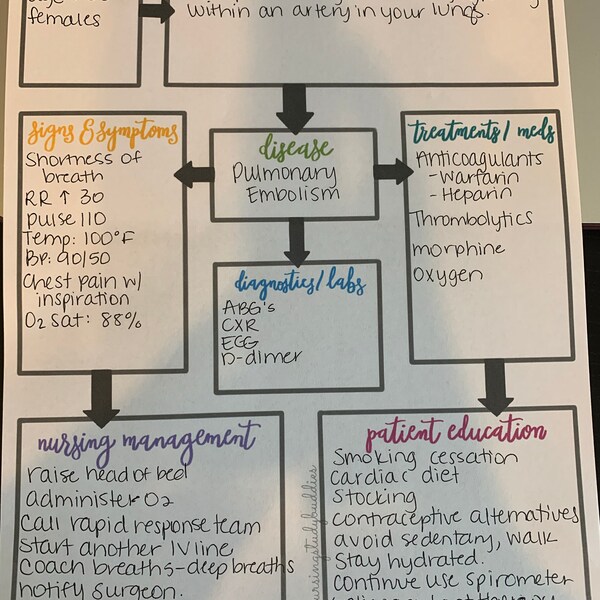 Pathophysiology Note Taking Template Multi Color - Etsy