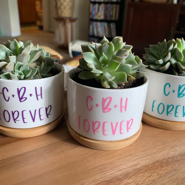 Your Custom Text Succulent Planter, Small Planter, Ceramic Planter Pot ...