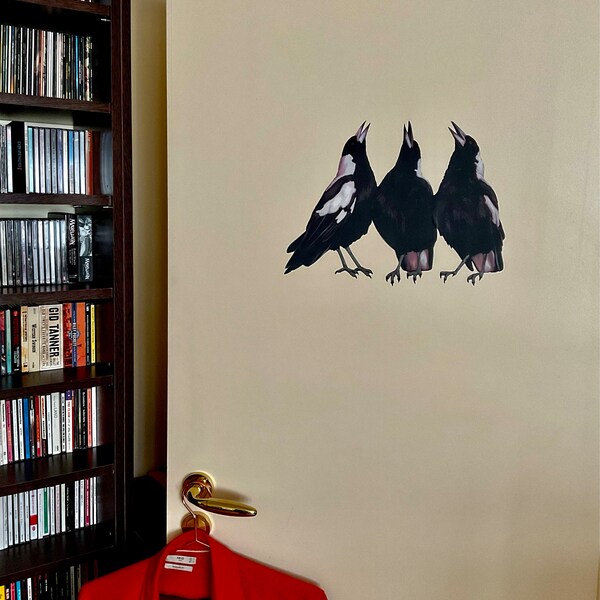 Warbling Magpies Decal, Australian Trio Magpies Sticker, Bird Lover ...