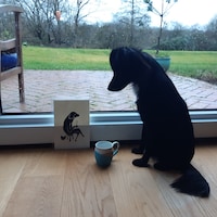 Linolschnitt "dog & bean" Linoldruck - Etsy.de