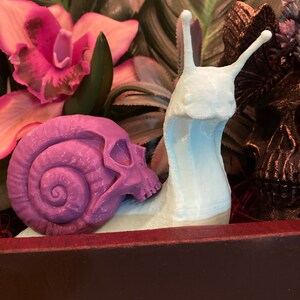 Korok Seed Set of 5 Golden Poop Zelda Breath of the Wild | Etsy