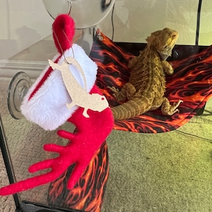 Pattern DIY Bearded Dragon Stuffie Sewing Pattern and Tutorial - Etsy