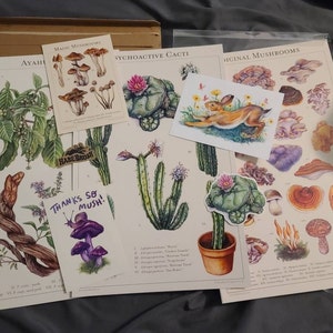 Psychoactive Cacti Botanical Art Print - Etsy