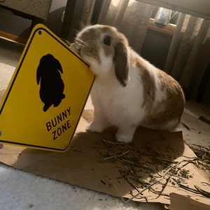 Black Tort Lop Rabbit Sticker Lop Rabbit Bumper Sticker Lop | Etsy