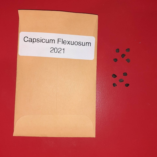 Cold Hardy Chili Pepper Seeds - Capsicum Flexuosum, Aka February Fire ...