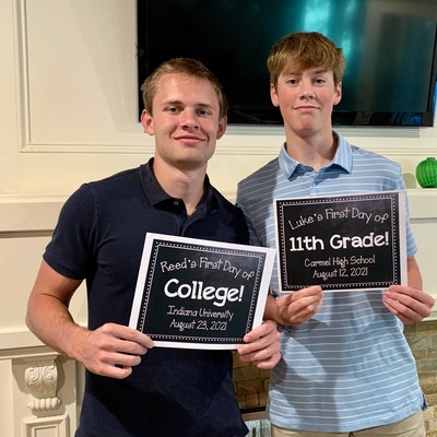 Patty Palette, Procreate Color Palette, Shades of Green, iPad App ...