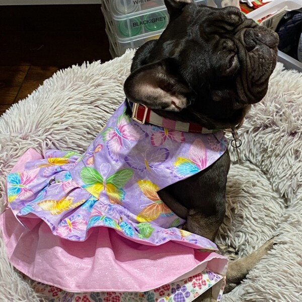 Hannah Dog Dress Sewing Pattern PDF, Small Pet and Dog Clothes, Dog Cat ...