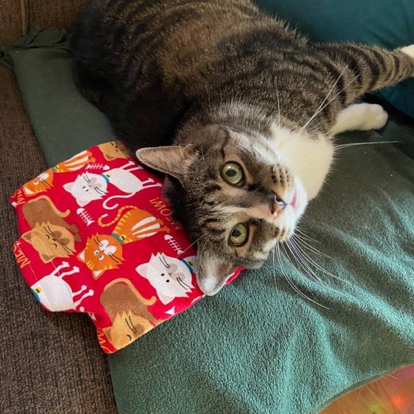 Refillable Catnip Cat Mat - Etsy