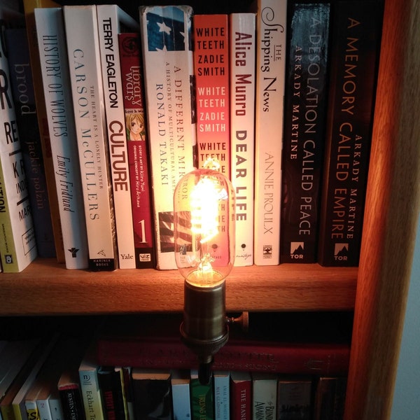 Bookshelf Lamp. Bookcase Light. Bookshelf Decor. Home Library/home ...