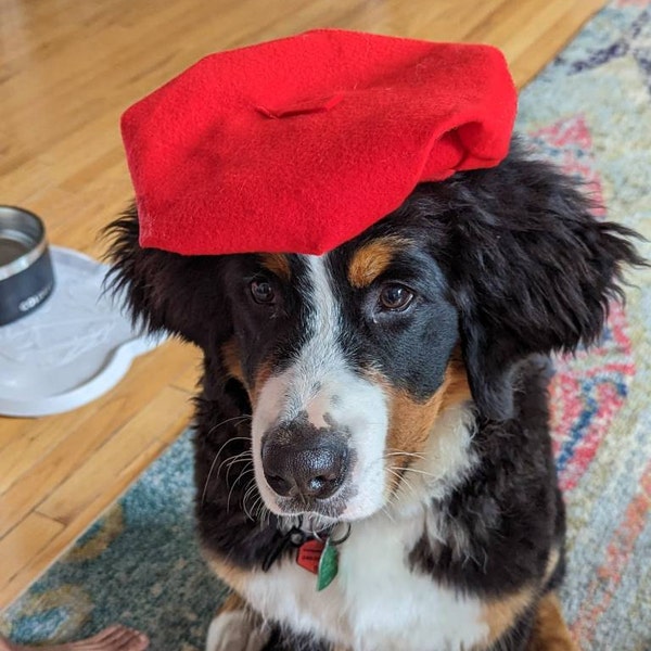 Beret Hat Red Color for Large Dog Hat for Large Pet /halloween Dog ...