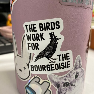 AMC Ape Sticker Amc Window Sticker, Decal, Hodl Apes Together Strong ...