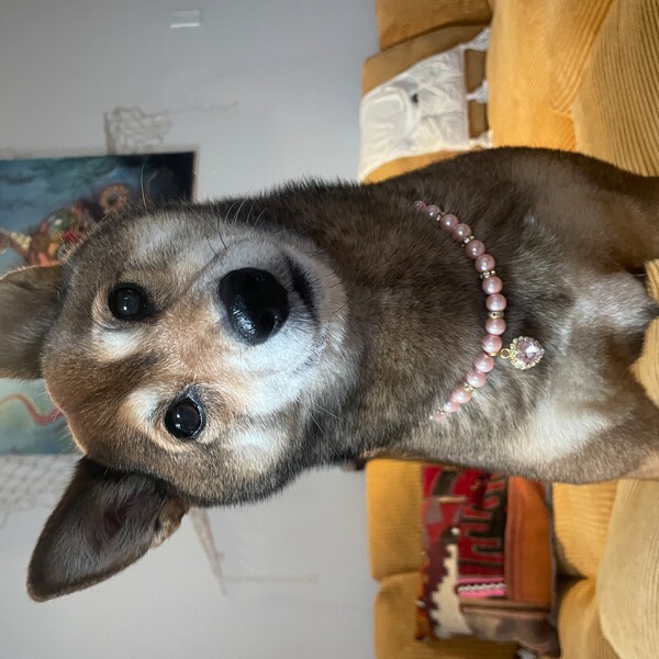 Pink Pearl Necklace for Dogs and Cats With Heart Charm, Dog Pearl ...