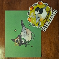 Chickadeez Nuts Sticker - Etsy