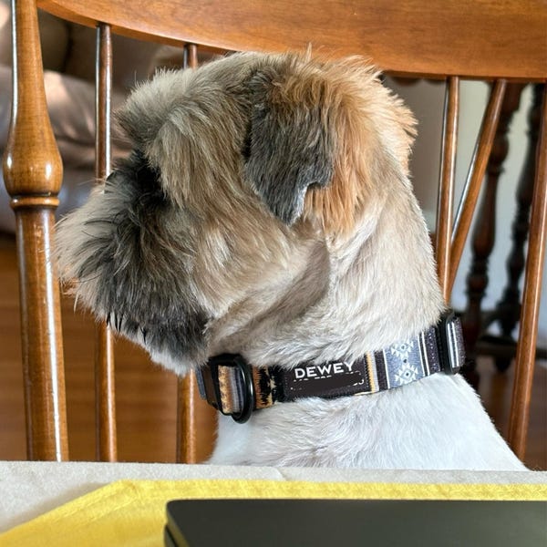 Treeline Dog Collar - Trees | Forest | Nature | Outdoors - Etsy