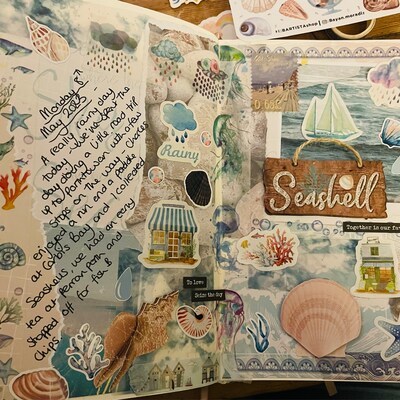 Seaside Shells Sticker Sheet Watercolour Sea Shell Stickers Ocean Beach ...