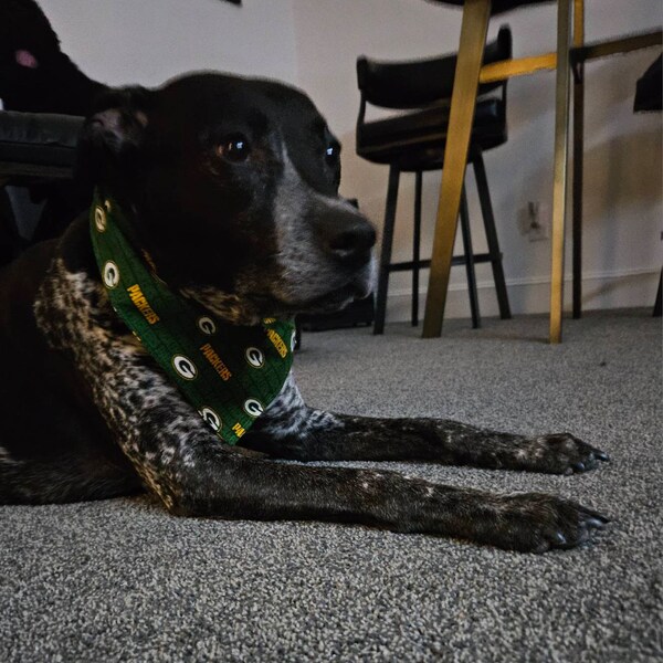 Dog Scarf Winter Pet Scarf Buffalo Plaid Puppy Scarf X Mas Dog Scarf ...