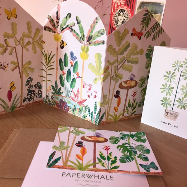 House Plant Card Set, PACK OF 10 Greeting Cards With Plant Care, Plant ...