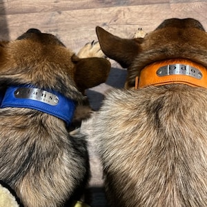 Biothane Dog Harness Service Dog Harness Accessories for - Etsy